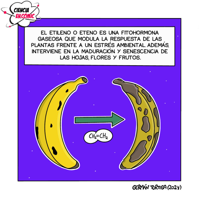 Etileno – Ciencia en cómic